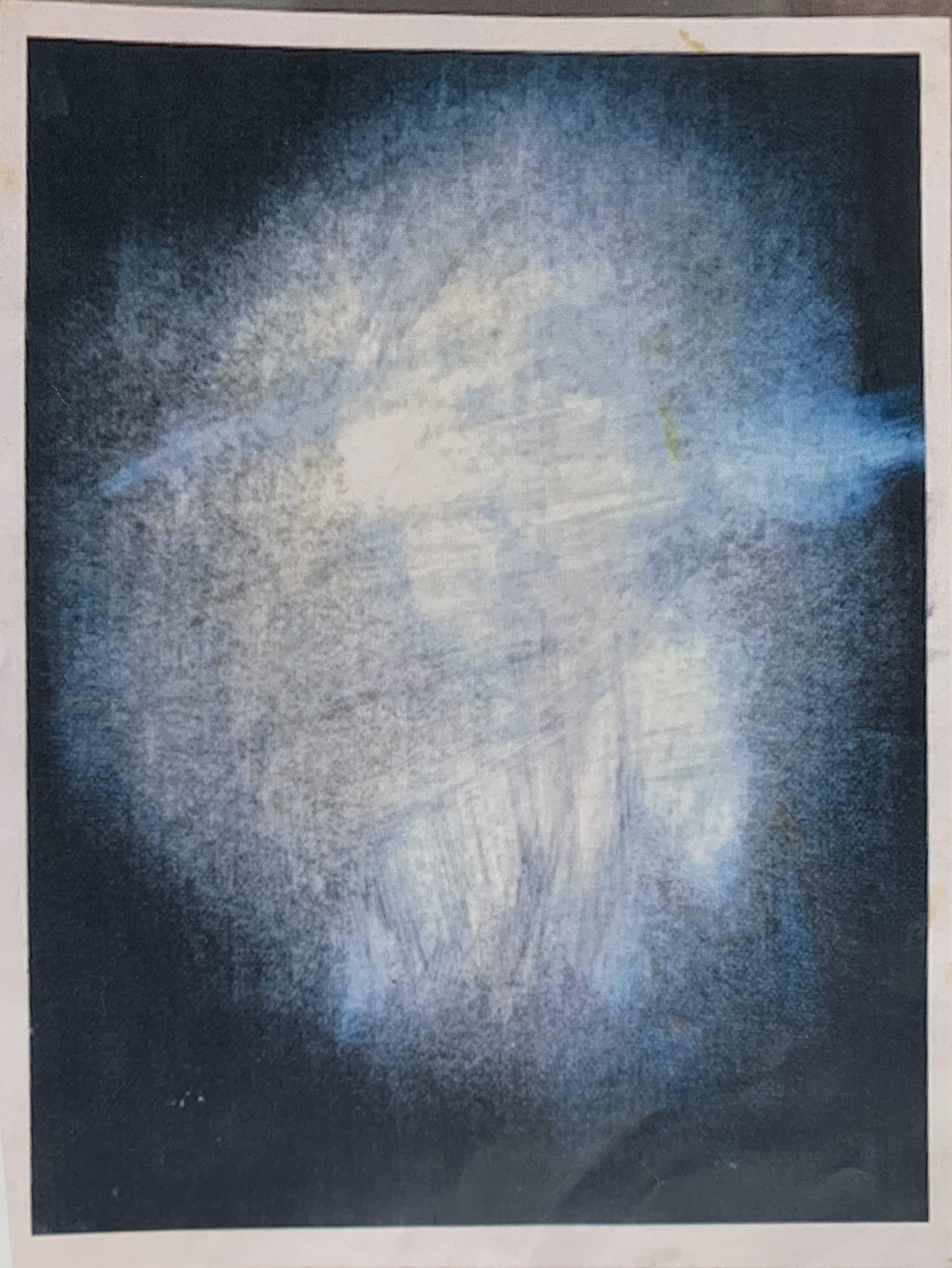 Falling Bird/ Untitled - Art Consultant Gent